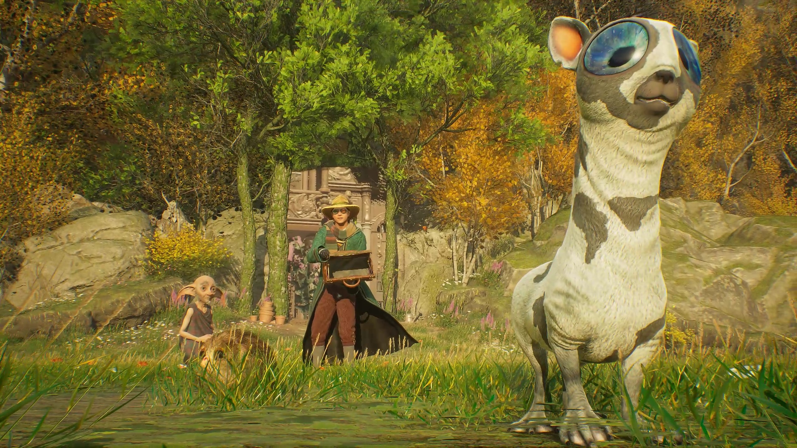 Hogwarts Legacy #11 Эльф. Хвать-мешок. Ткацкий станок