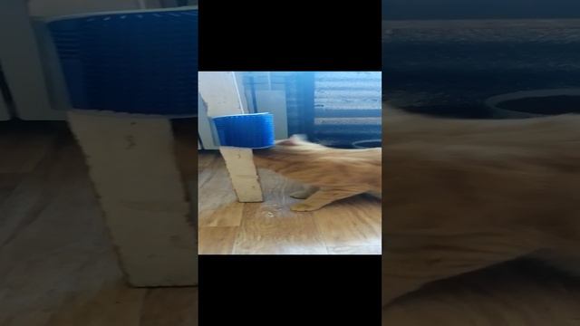 Парикмахерская самообслуживания.mp4