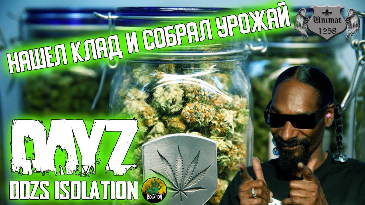 НАШЕЛ КЛАД И СОБРАЛ УРОЖАЙ | DAYZ Isolation PVE | #10