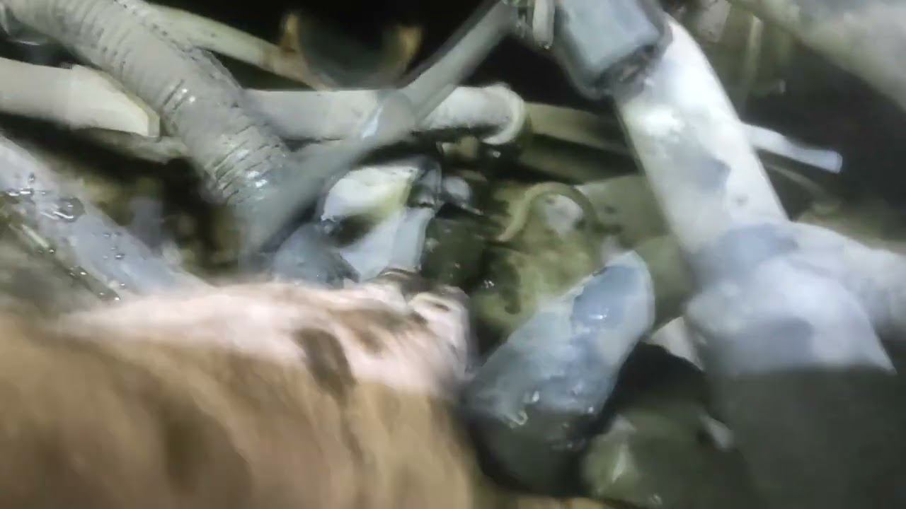 ТАКОГО Д 4 У НАС ЕЩЕ НЕ БЫЛО