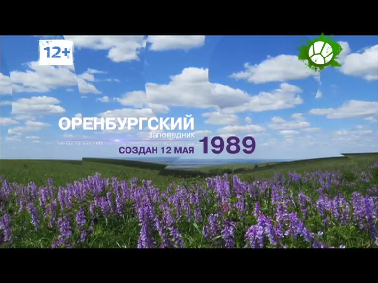 Заповедники России. Оренбургский заповедник