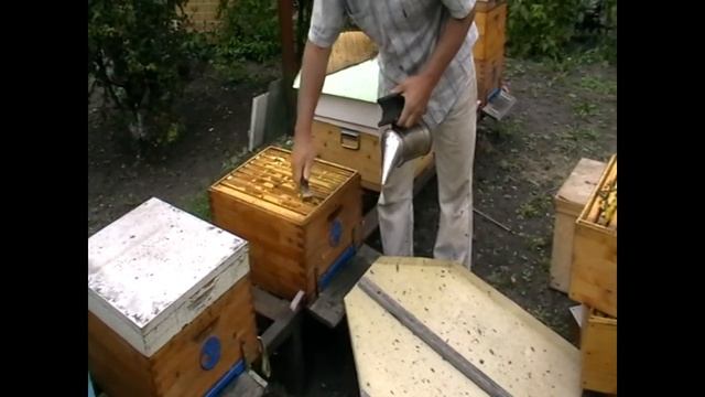 Качаем мед и сокращаем семьи