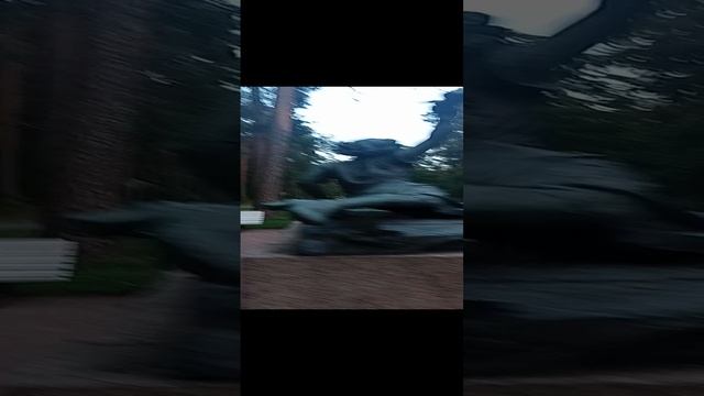 курортный город Зеленогорск