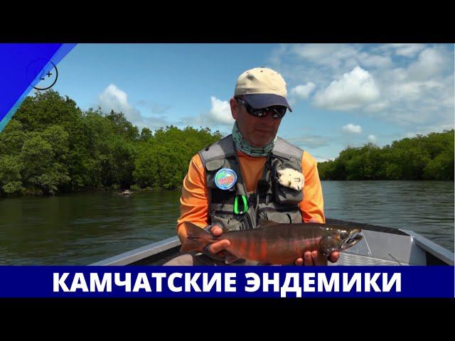 Камчатские эндемики // География нахлыста