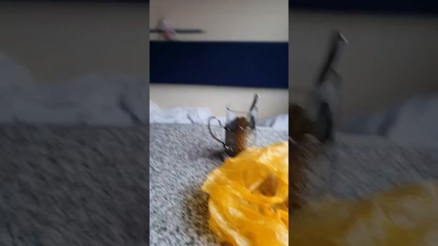 27.09.2019 РОСТОВ НА ДОНУ,ЕДЕМ ДОМОЙ.???☝️.mp4