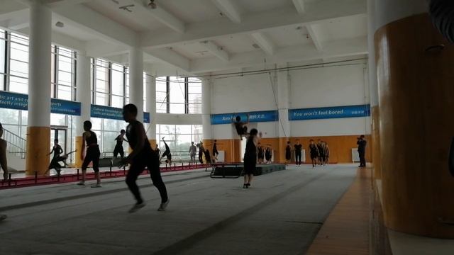 Пуйян акроунивер (17)