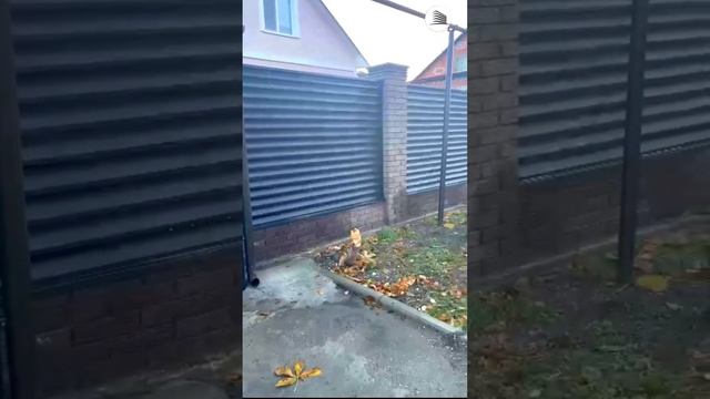 Забор-жалюзи Оптима от Завода Новый Дом