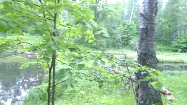 Выезд на природу. Зона #1