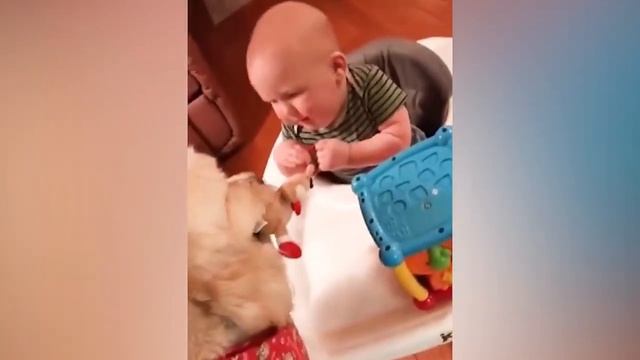 Смешные видео с детьми #103.mp4