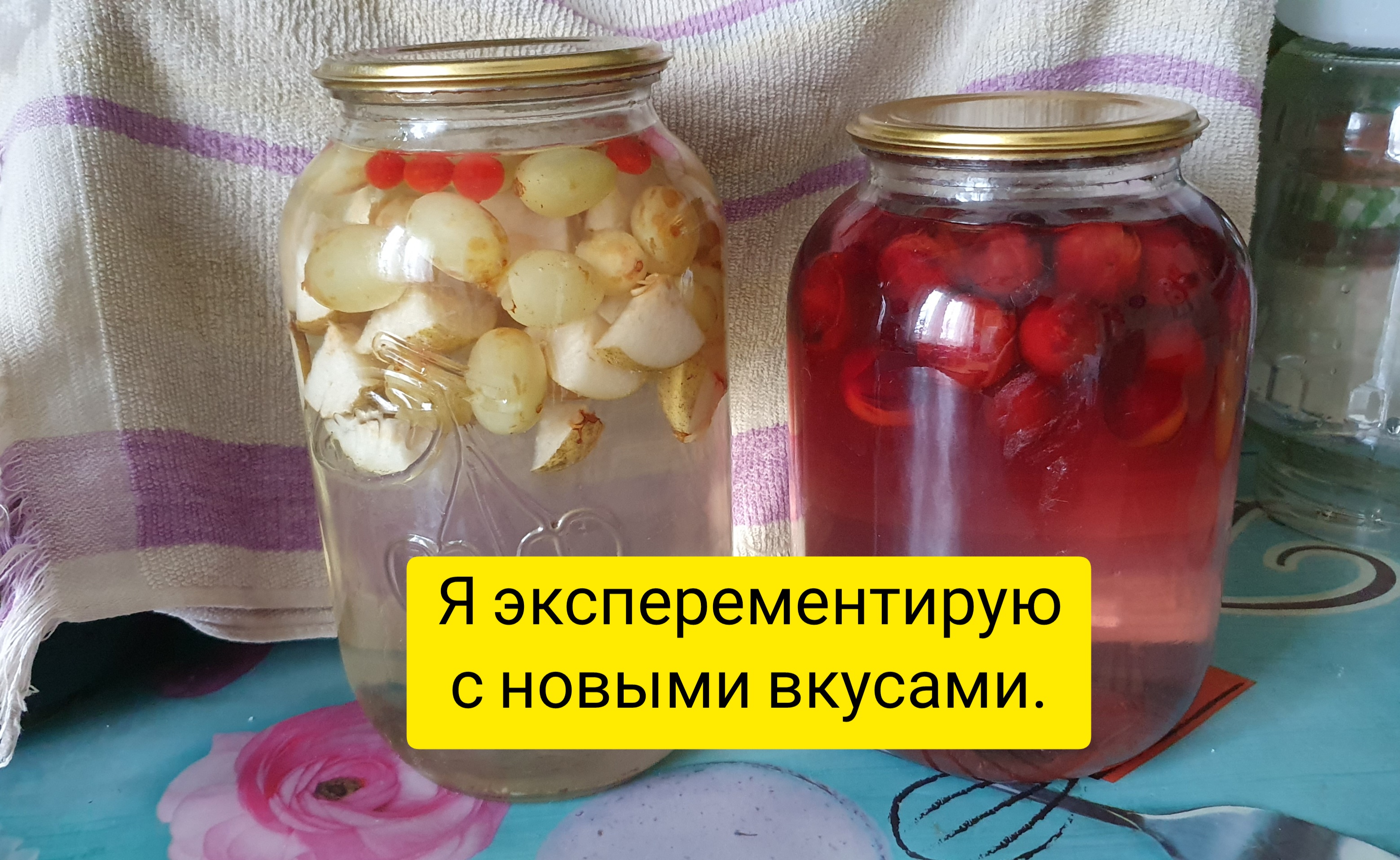 Скучаю по тебе моя птичка.?Раз уж сняла,надо и вам показать.?Кампоты.?