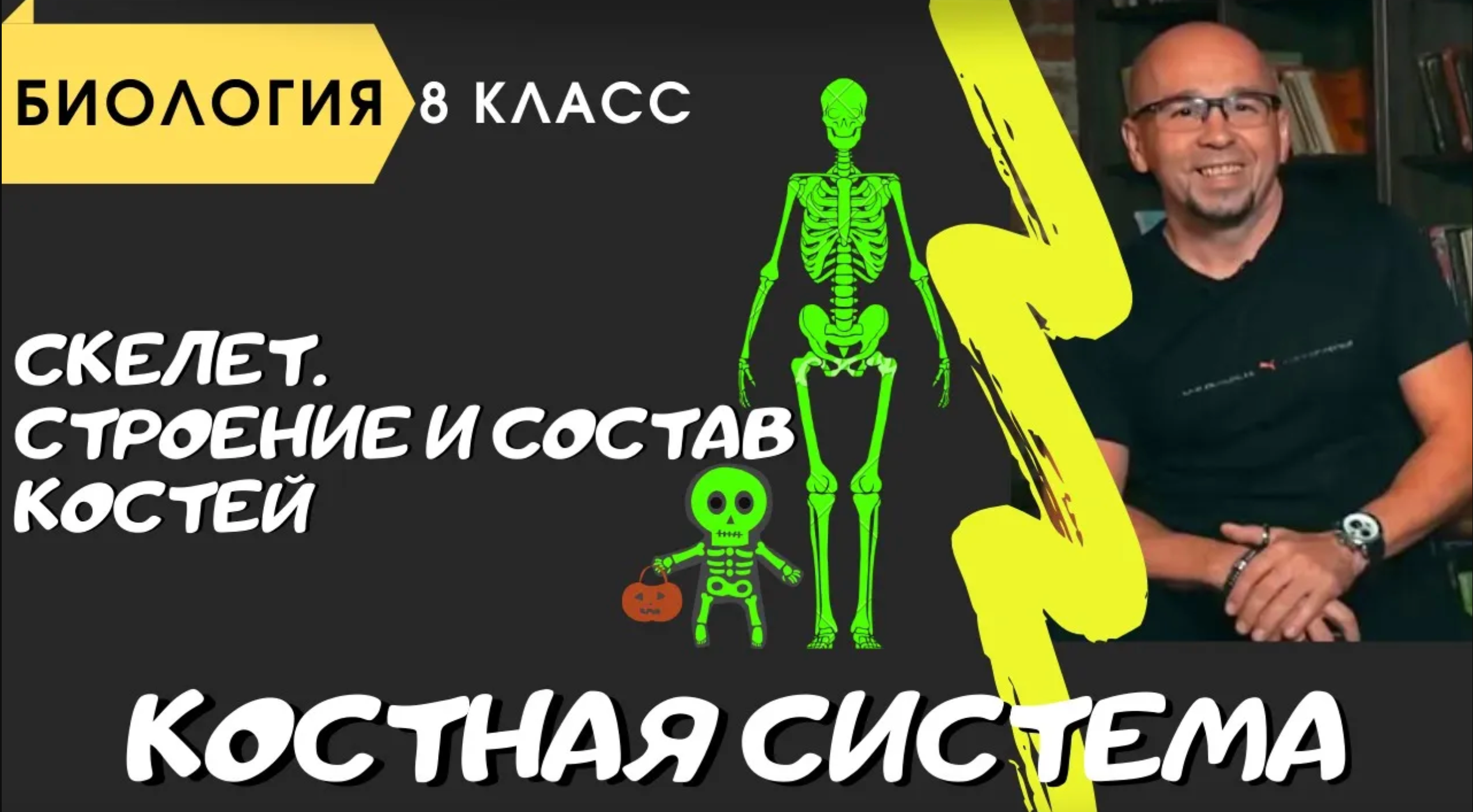 Опорно-двигательная система. Анатомия 8 класс Костная ткань. Строение и виды костей Скелет человека