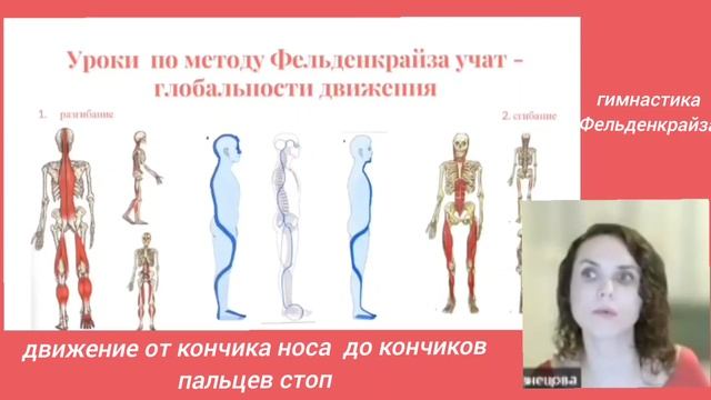 Цель метода: глобальность движения. Метод Фельденкрайза.