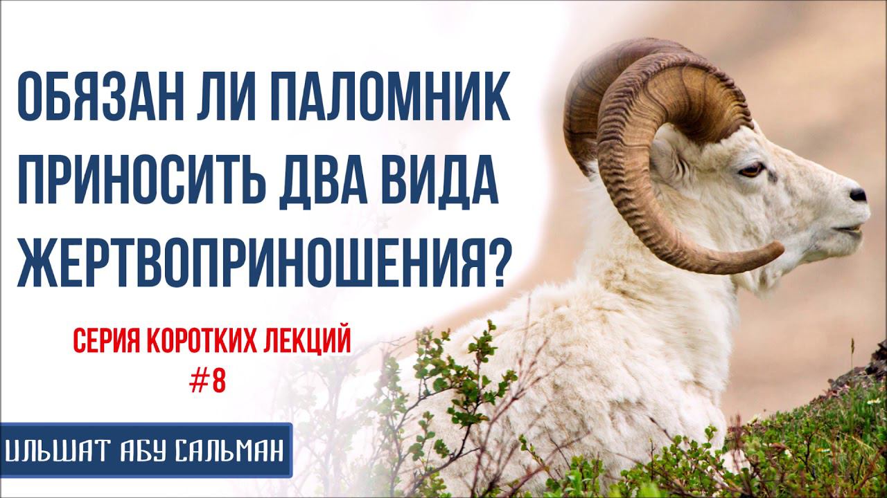 Ильшат Абу Сальман. Обязан ли паломник делать два вида жертвоприношения? Серия лекций Курбан-Байрам