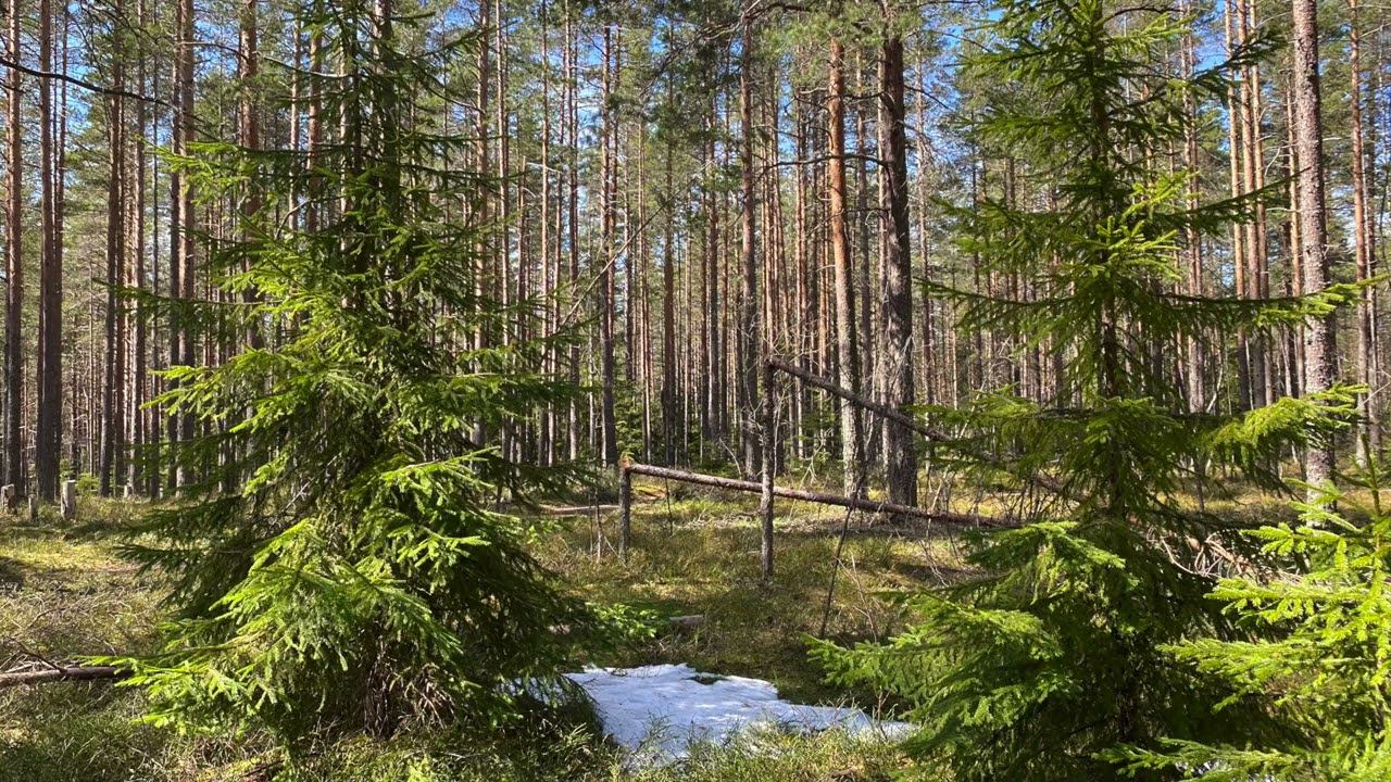 Отдохни от контроля. Послание из коридора затмений