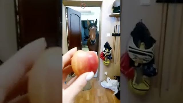 Любитель яблок.mp4