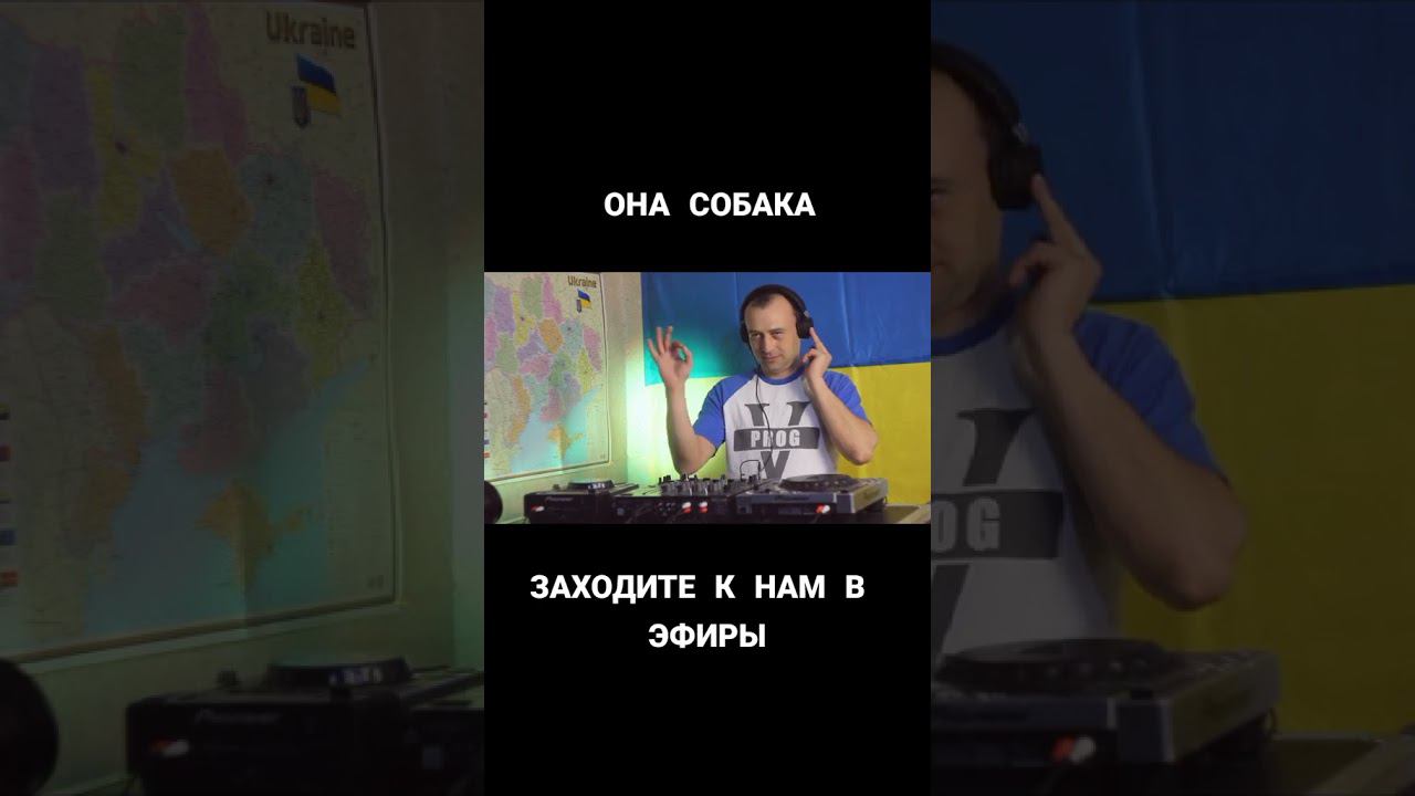 Она собака :)