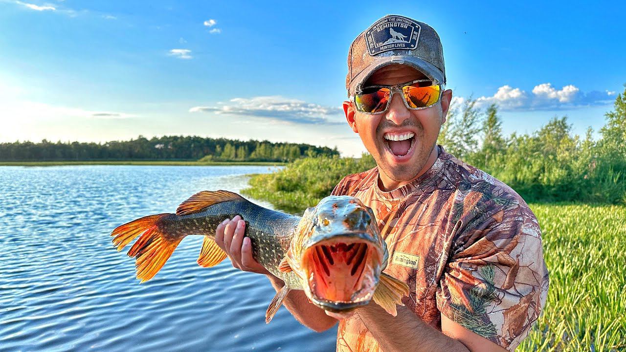 Рыбалка мечты! Живём неделю на Васюганских болотах | В погоне за окунем и щукой