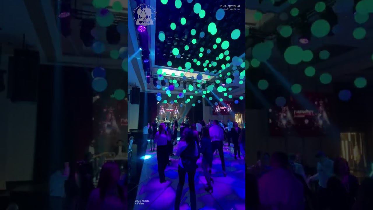 ЗИМА-ХОЛОДА - А.Губин - ВИА "Друзья"