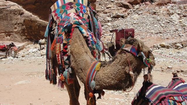 Иордания (Петра)-Израиль