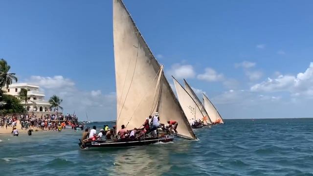 Гонки и регаты - Традиционные - Dhow