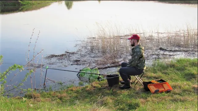 ЗАГИБЫ И ВСПЛЕСКИ__ Рыбалка на фидер в период нереста. #fishingholidays #рыбалка #фидер