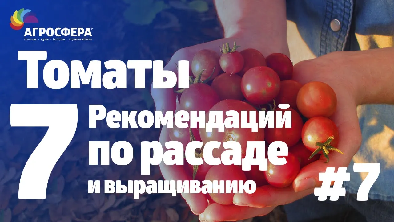 Советы для дачи и сада #7 - рассада томатов / агросфера.рф