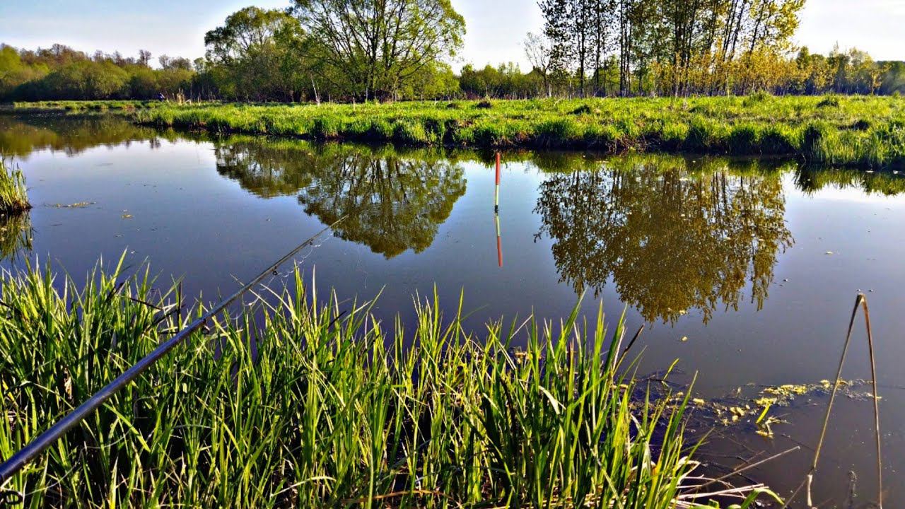 Ловля карася весной на удочку. Насадил на крючок по классики червя.