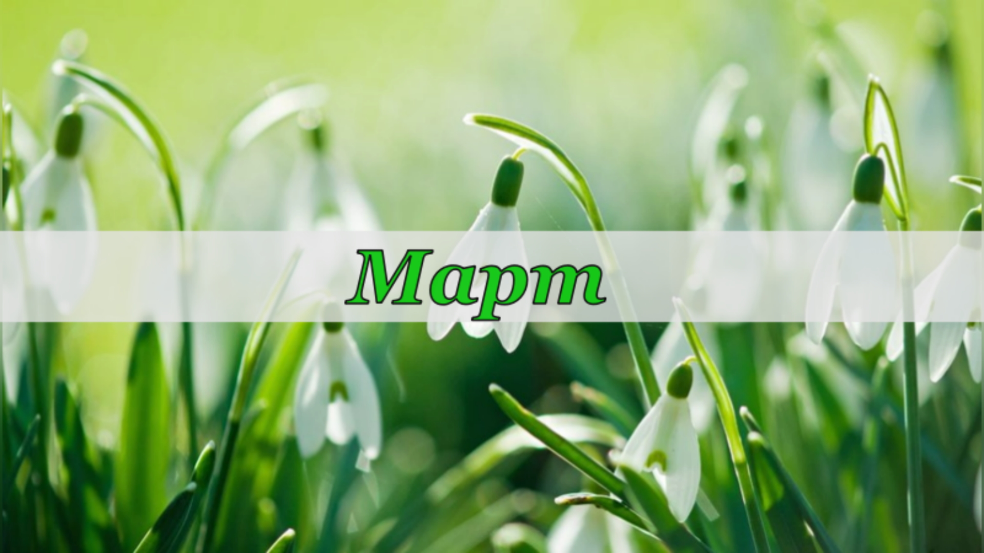 Перелистать стихами календарь. Март.