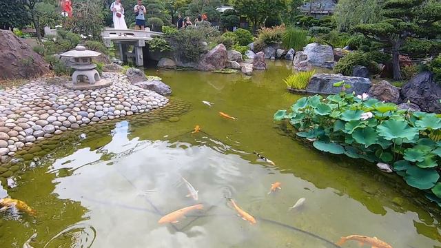 Монако. Один день в Монте-Карло