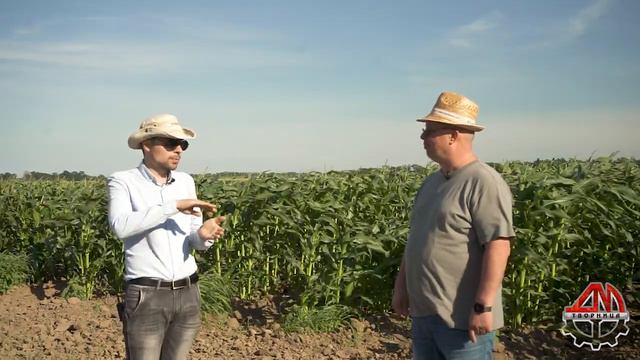 Совка на кукурузе | Вирин ХСК. В гостях у Аллеи Вкуса (Ерохин Александр)