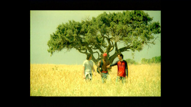 ФАБРИКА «Рыбка» 2004