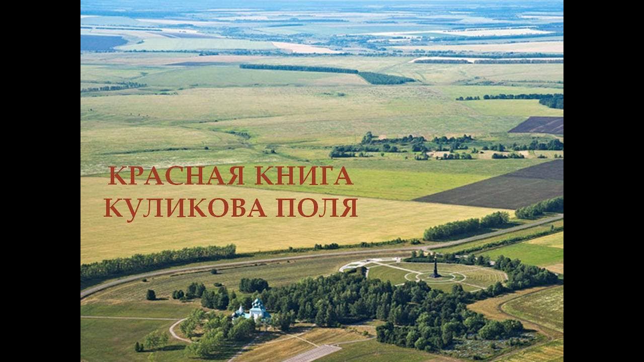 Музейный урок "Красная книга Куликова поля"