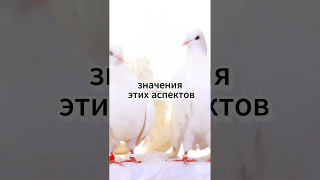НОВИЗНА
И
ОПРЕДЕЛЕННОСТЬ
В 
ОТНОШЕНИЯХ