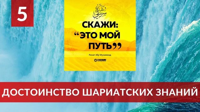 Достоинство шариатских знаний. О сути Единобожия.Ринат Абу Мухаммад