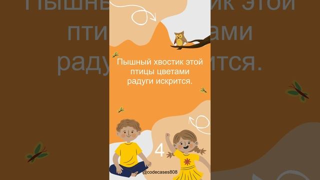 Пышный хвостик этой птицы цветами радуги искрится.