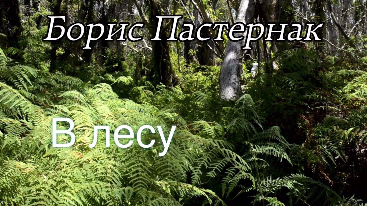 Борис Пастернак .В лесу.