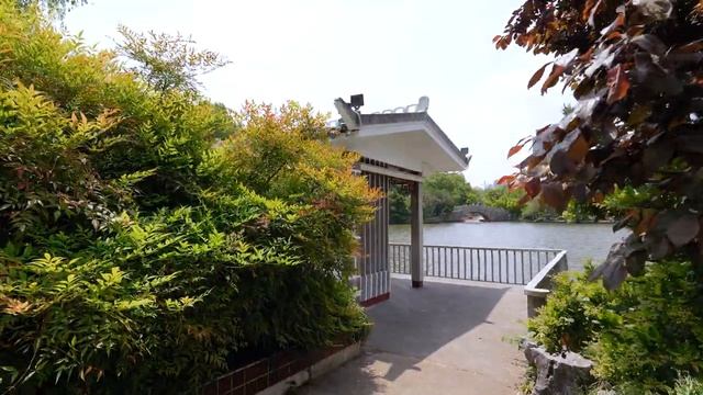 【4K】 Парк Чанфэн, Путуо, Шанхай【Пешеходная экскурсия】