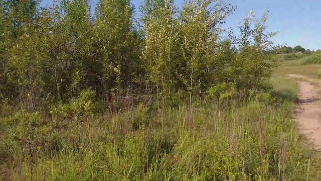 Торопец. Карьер на озере Светлицкое