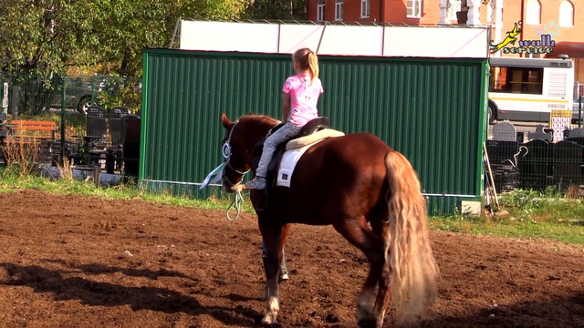 Как провести выходной? Приобщаем ребенка к конному спорту