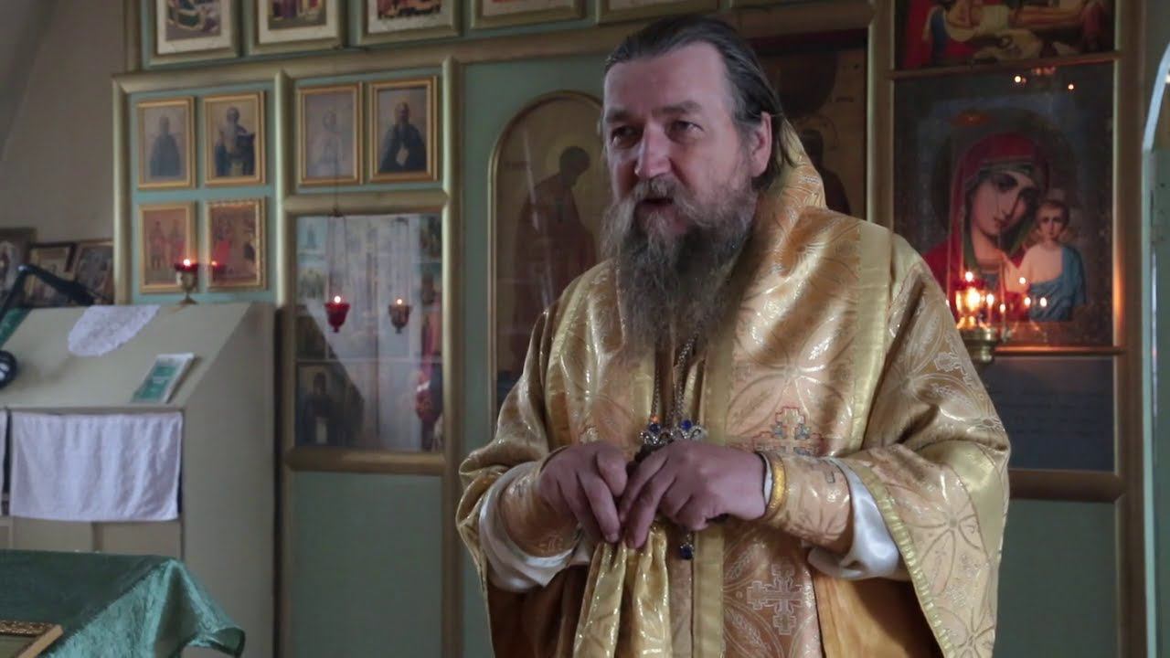2014 07 13 - Гадаринские свиньи и наши греховные страсти