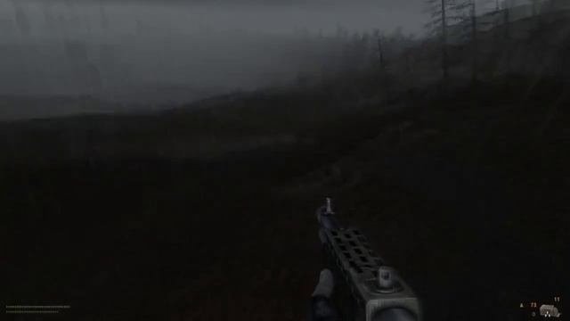 S.T.A.L.K.E.R (MISERY) Пси-Карлик (12)