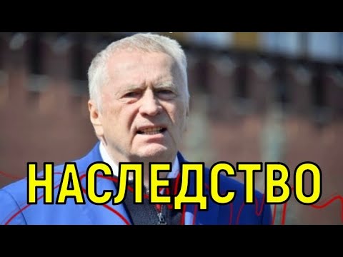 Ушедший из жизни Владимир Жириновский оставил внушительное наследство.