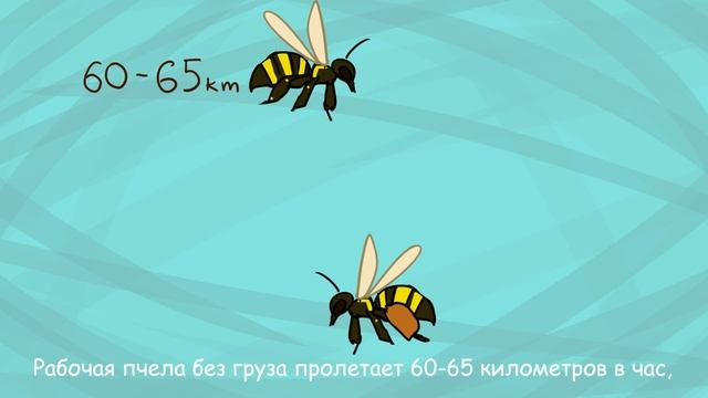 Нурбостан | 5 серия | Бал ҡорттары | башҡортса йәнһүрәт | ТАМЫР