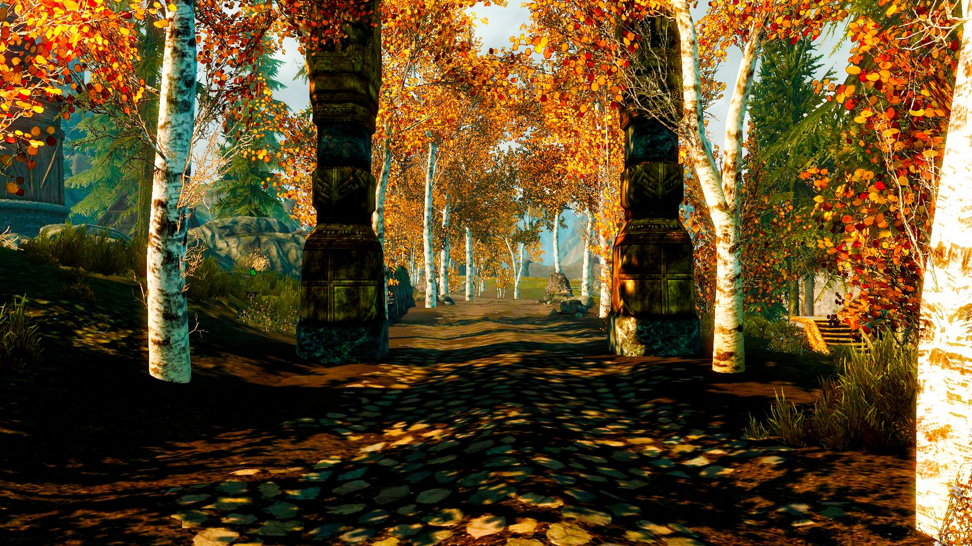 Окрестности Вайтрана. Skyrim Paladin Edition #27