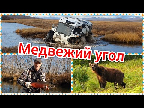 Медвежий угол. Река Островная.