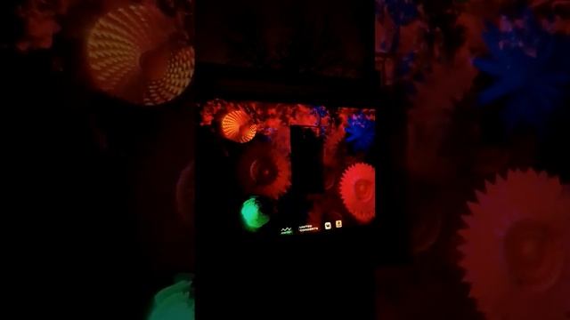 Световое шоу на стенах зданий в Ботаническом саду 2021.