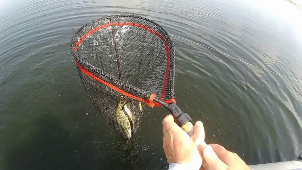 Карась на воблер