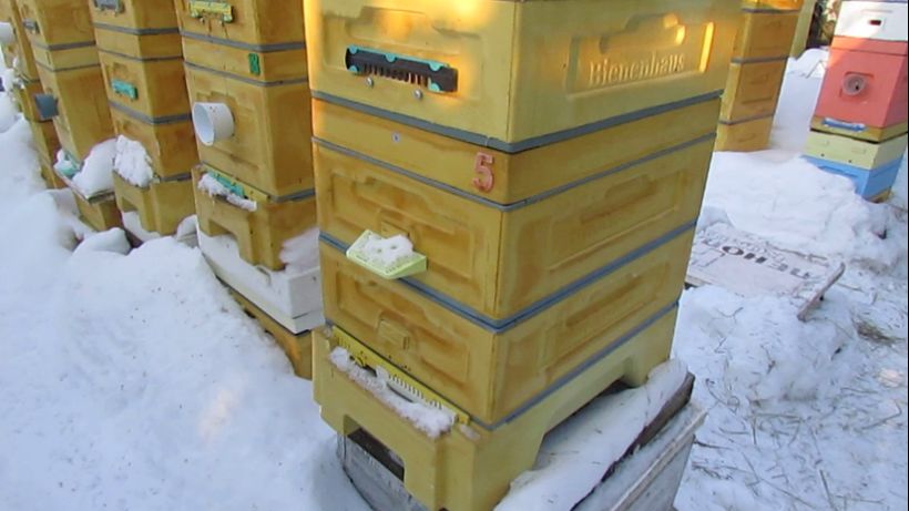 подготовка к весне, доработка улья из дерева до улья термоса, для лучшего содержания пчел - 1 часть