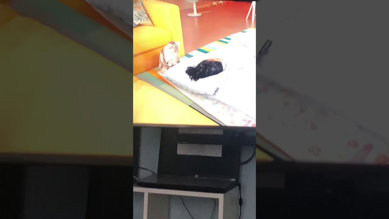 22 ноября 2020 г. Сёма смотрит телевизор