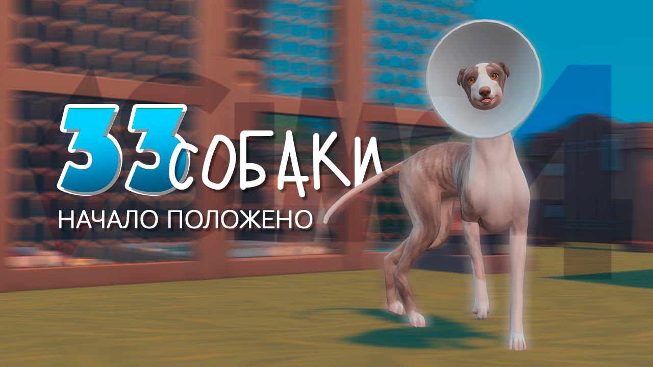 33 СОБАКИ. НАЧАЛО ПОЛОЖЕНО :) #sims4